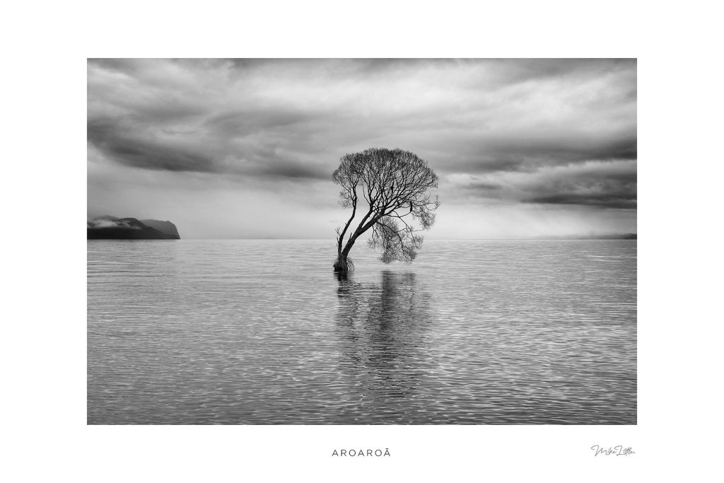 Aroaroā / Lake Taupo Tree | Mike Little Photography